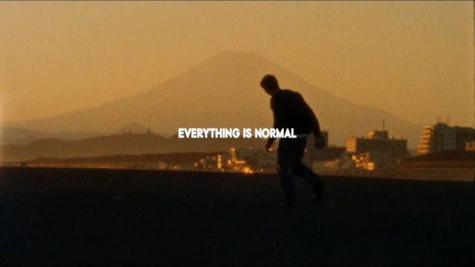 Everything is Normal - Polar Skate Co. – Flavour Skateshop